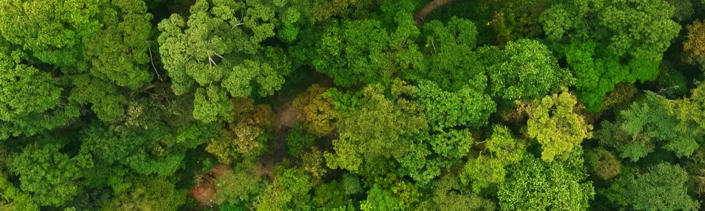 Going Carbon-Neutral? How FMCG Brands Can Revolutionize Their ...